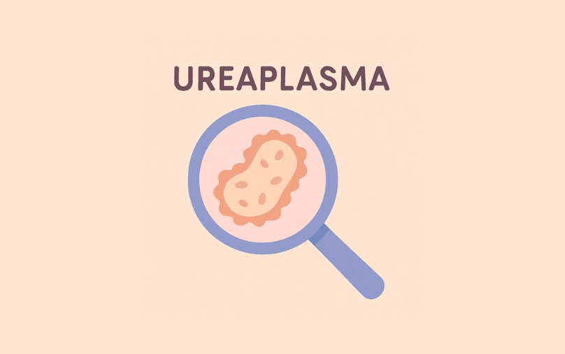 Ureaplasma: Everything You Should Know About This Bacteria