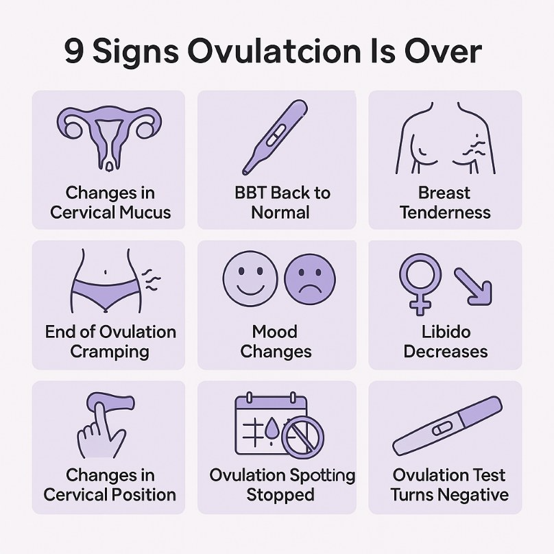 9 Signs That Ovulation Is Over: How to Know for Sure?