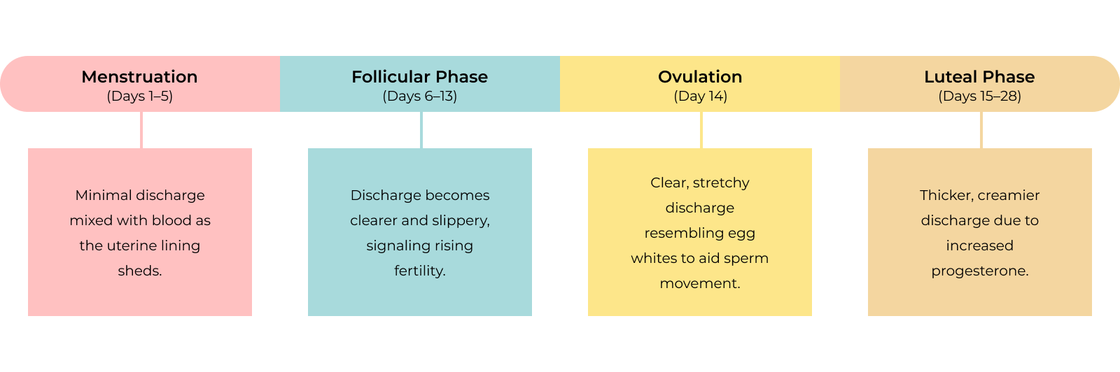 Discharge Cycle Before Period